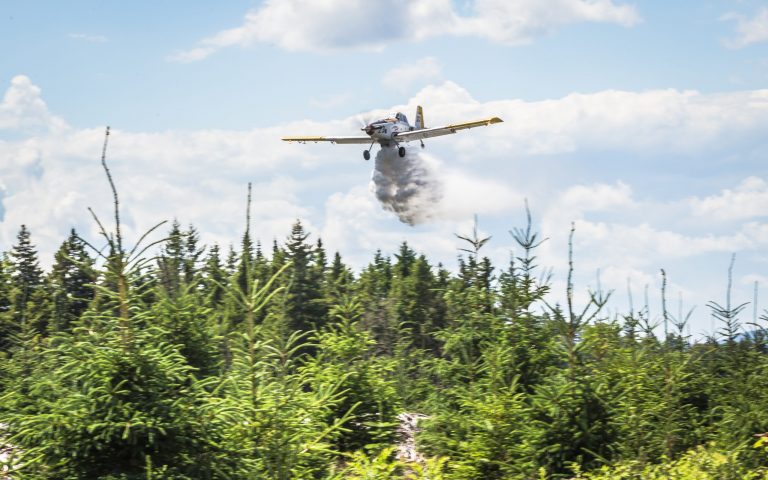 Home - Forest Protection