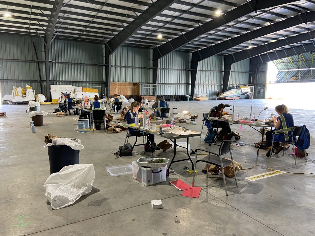 Home - Forest Protection