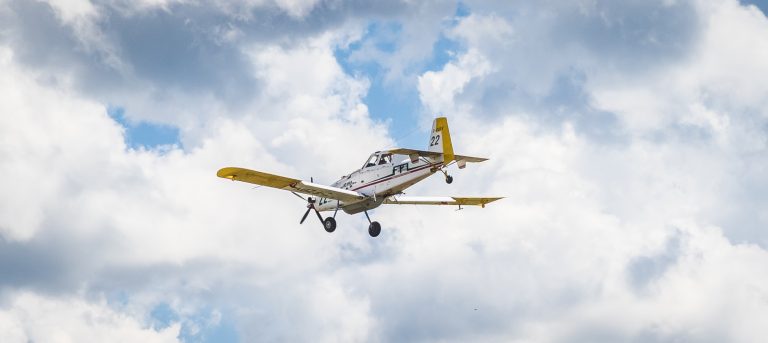 Our Story - Forest Protection