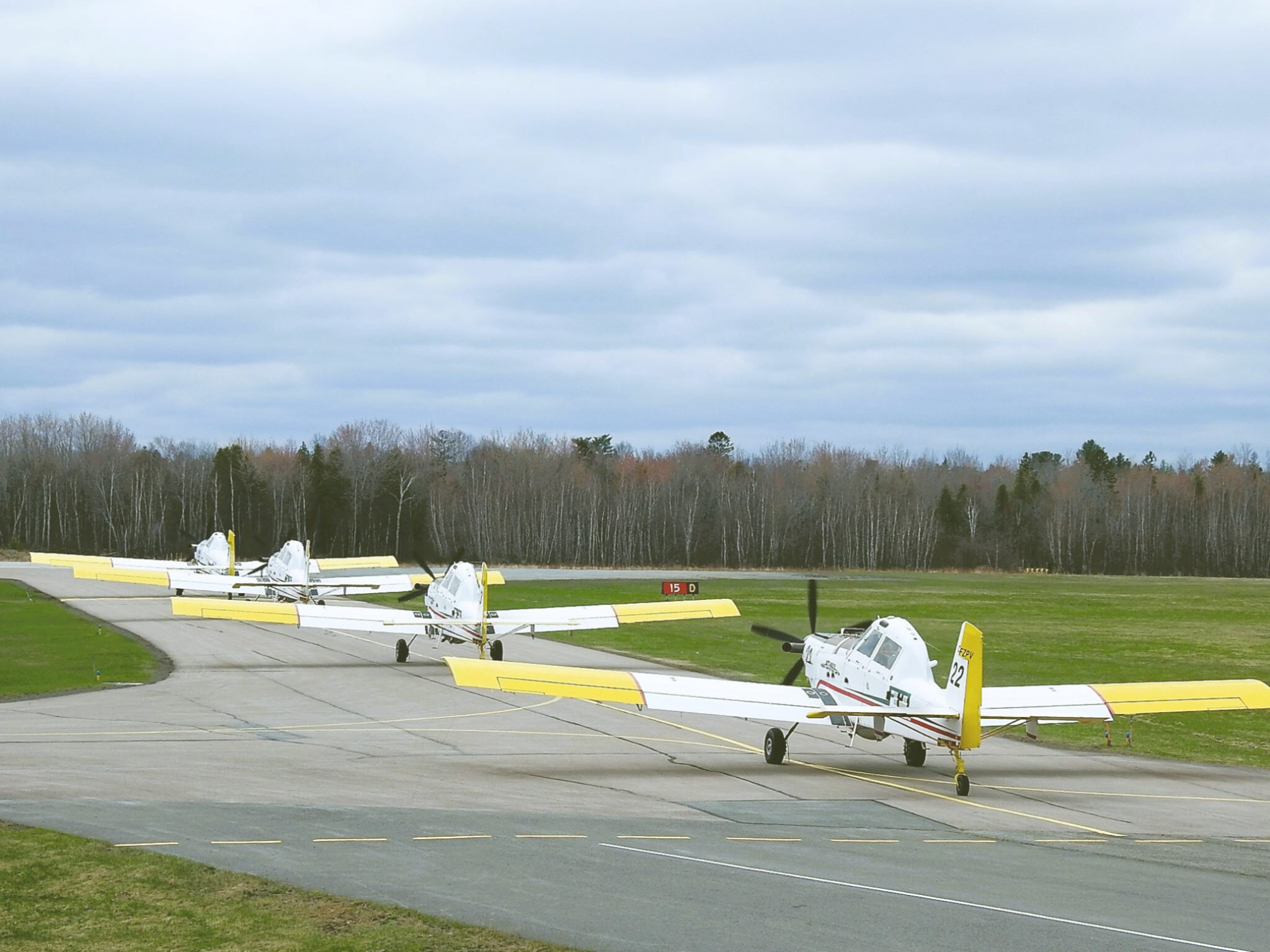 Blog - Forest Protection