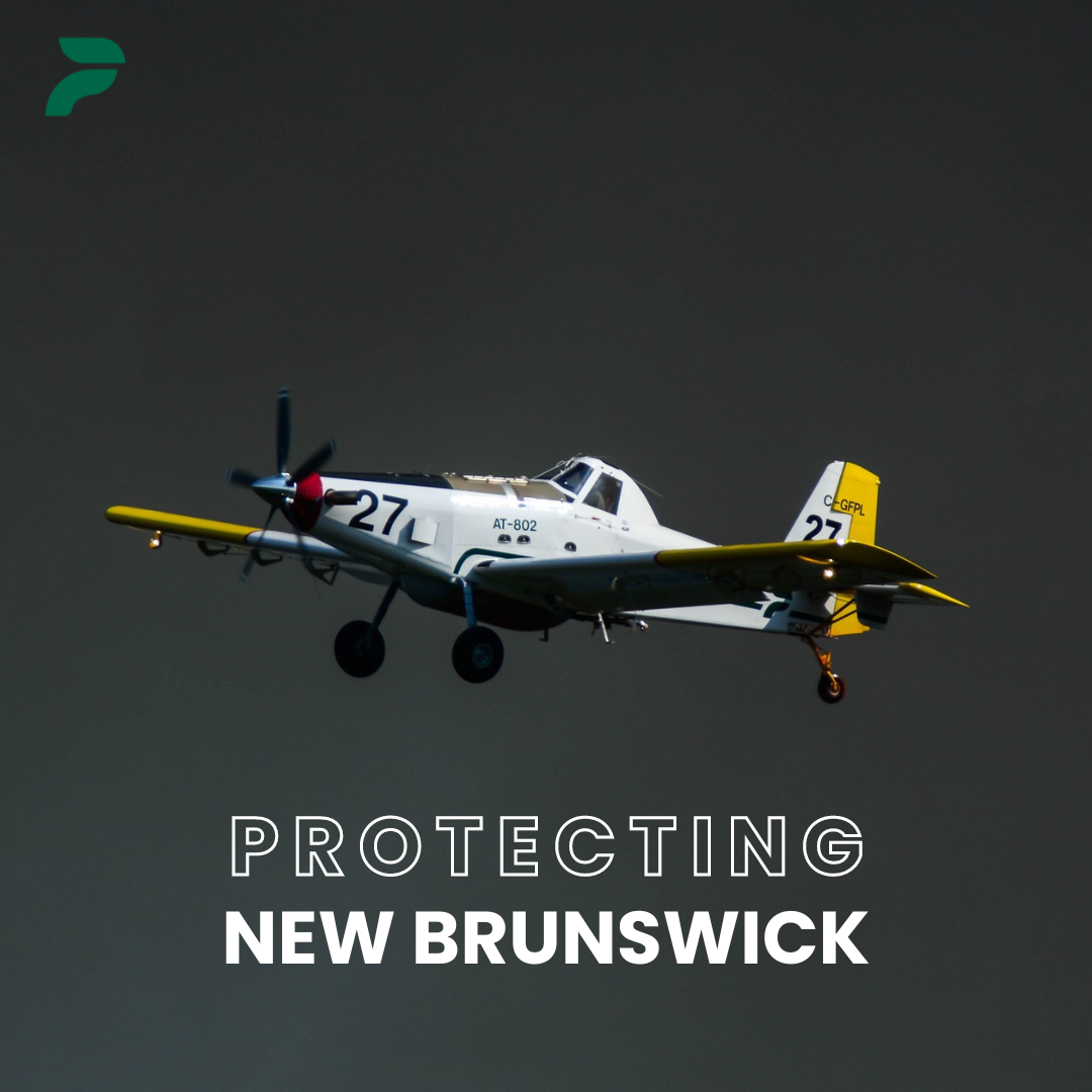 The Battle Against Wildfires - Forest Protection